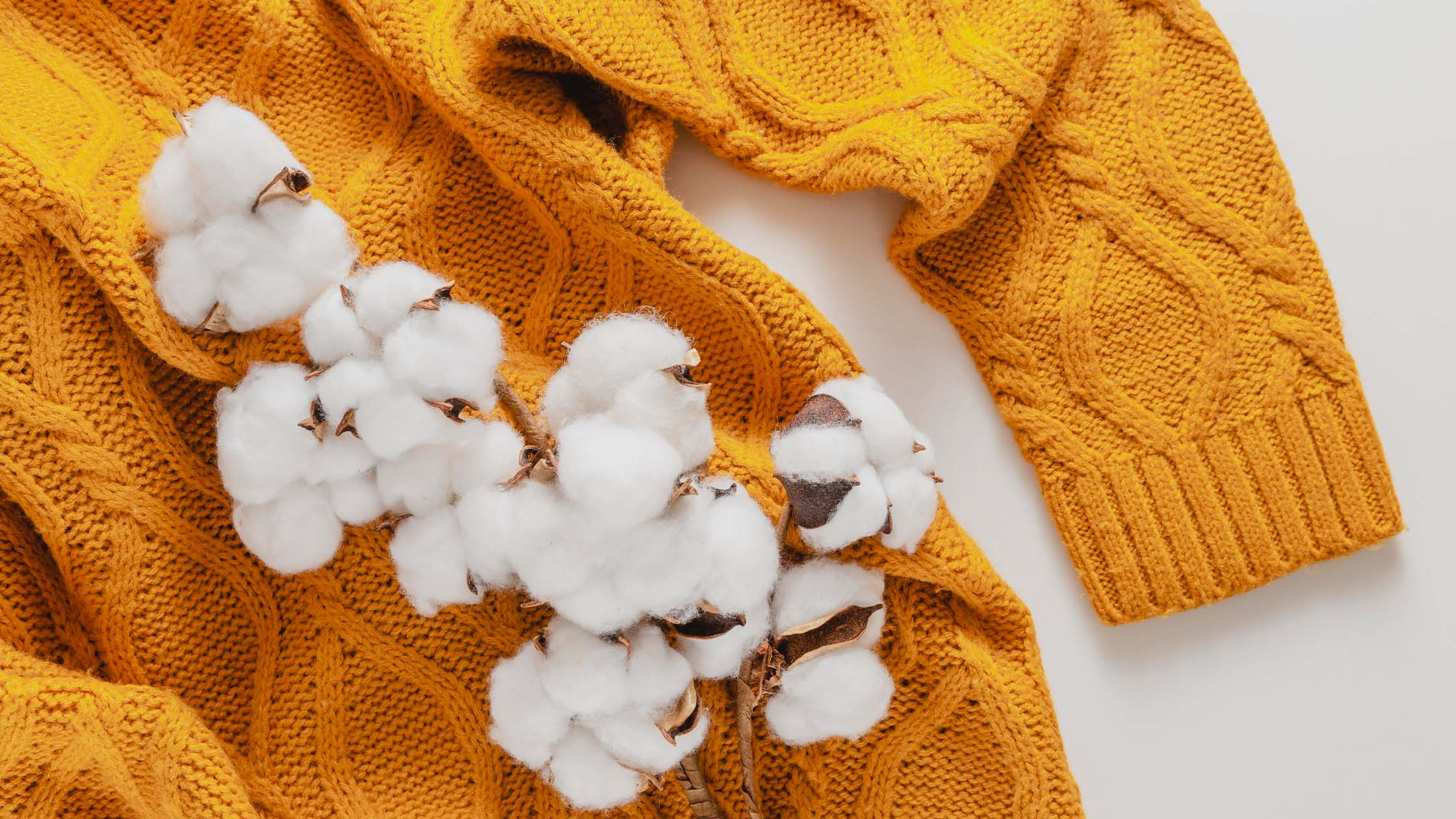 Types de coton : un guide pour choisir le tissu parfait - Izpol
